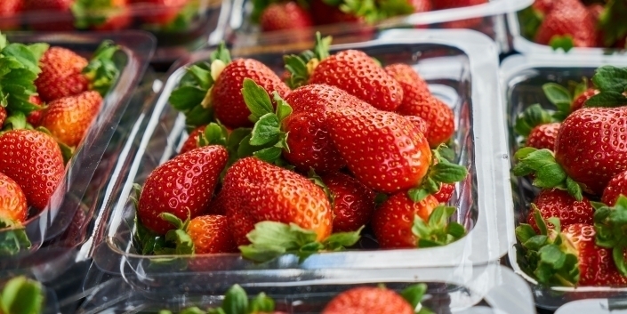 - Välkommen till SW Horto